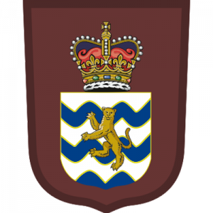 Cadet Force Adult Volunteer